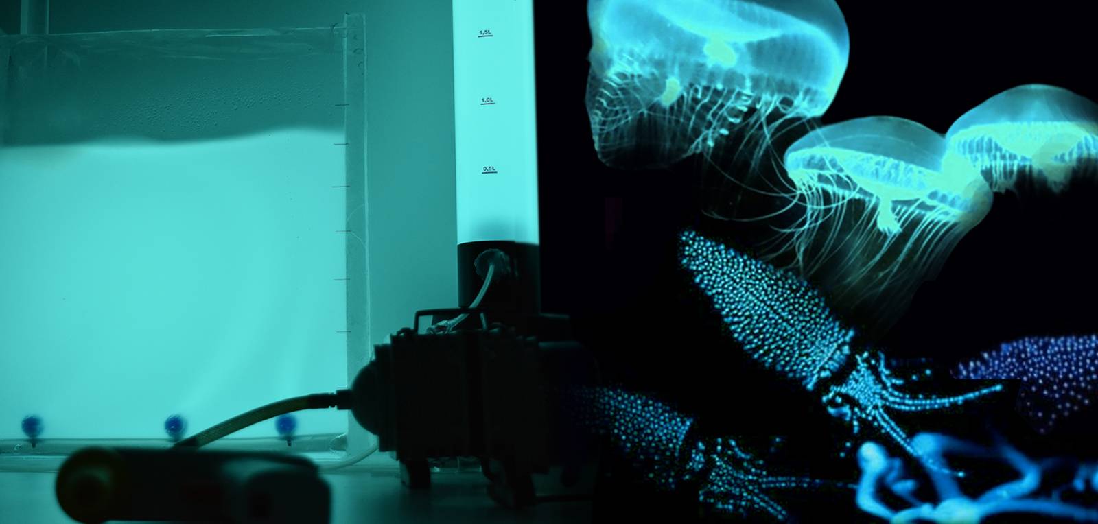 Happy Capital site de financement participatif - Equity crowdfunding