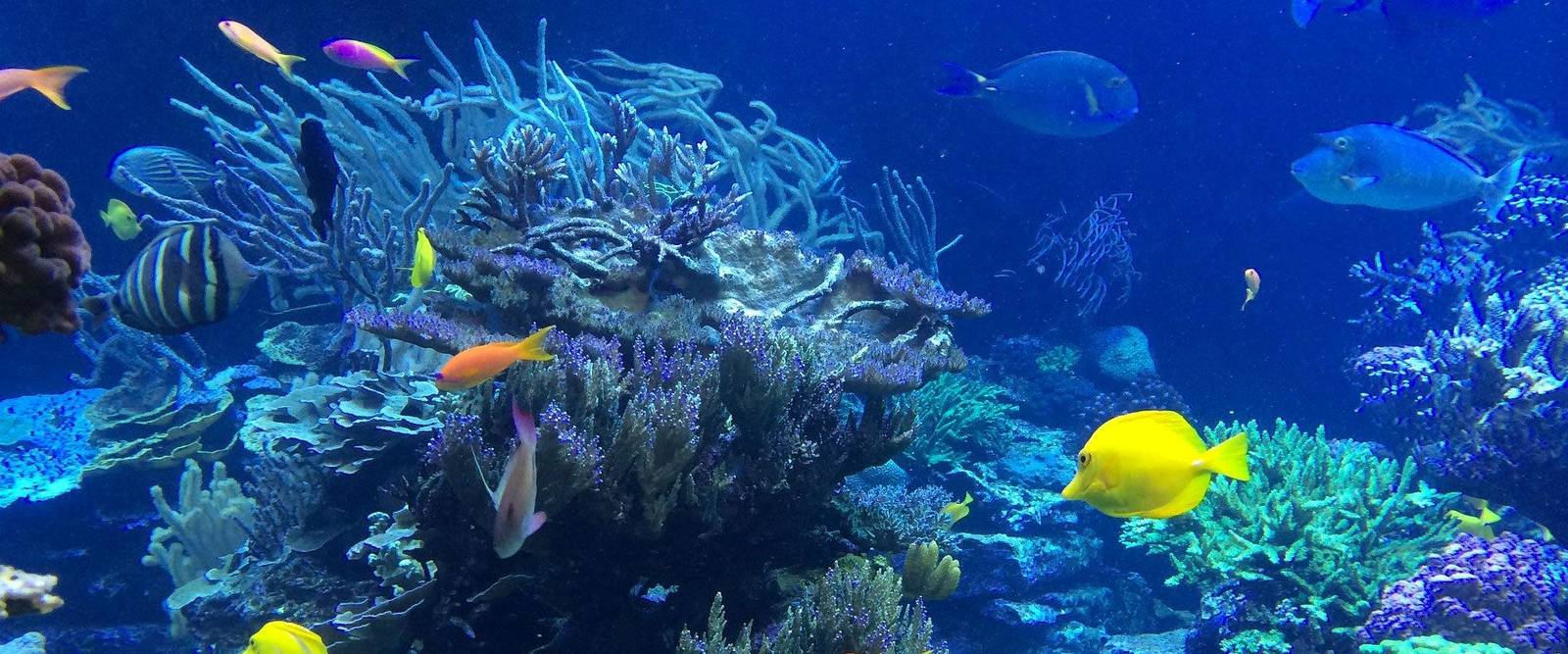 Happy Capital site de financement participatif - Equity crowdfunding